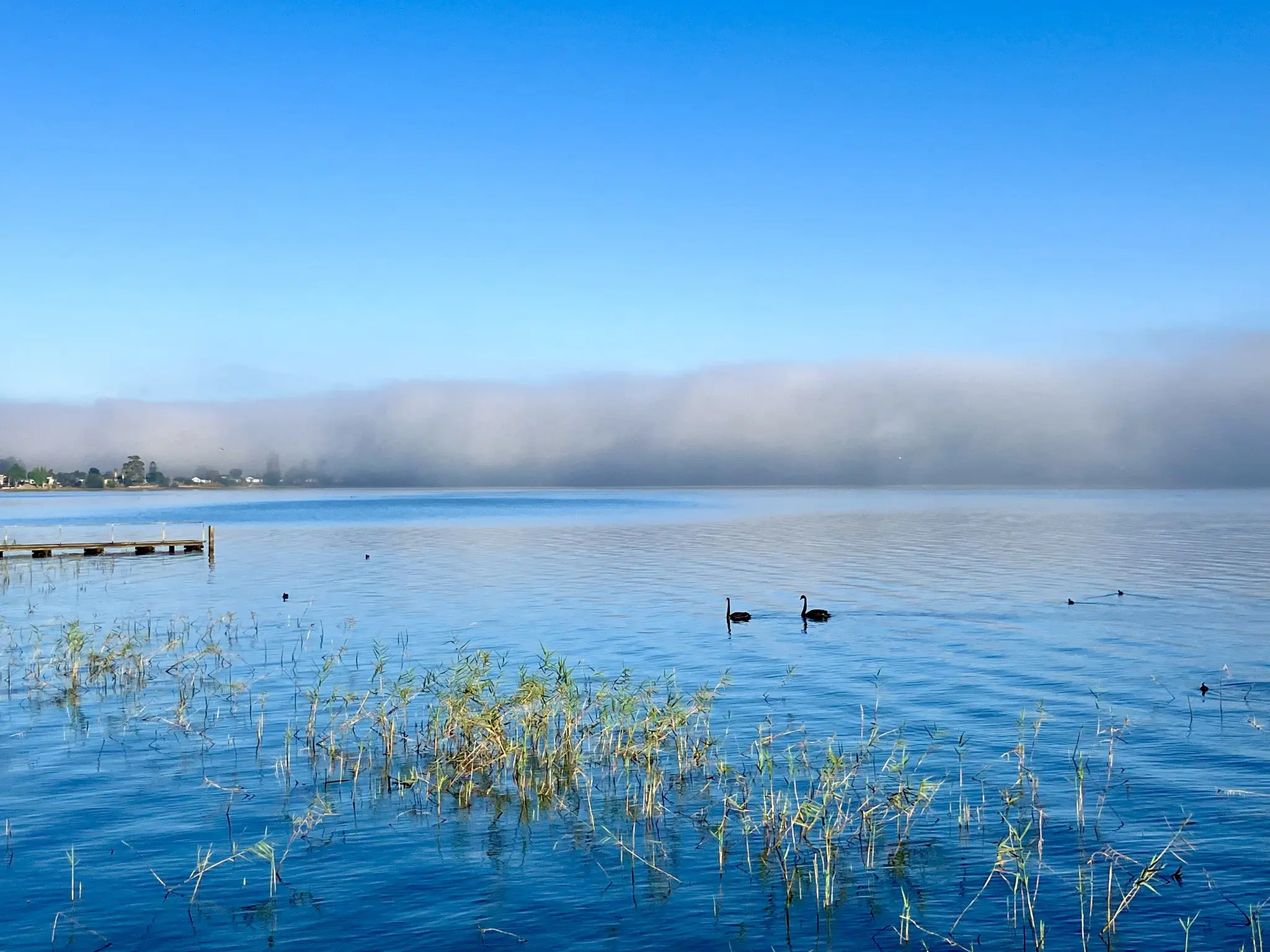 Lake Colac - Lake Colac Holiday Park